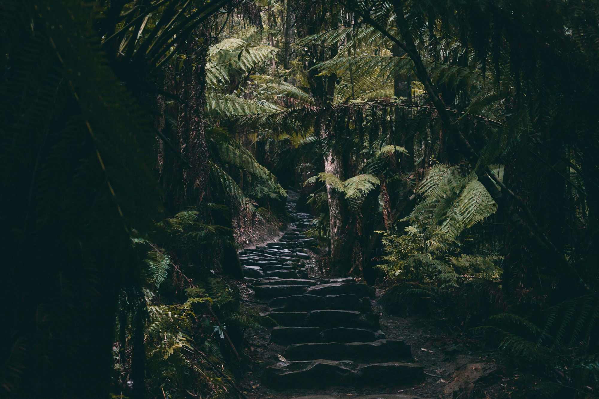 Our Blog JOURNEY GUIDES Inspiration for Exploration: Must-See Short Films